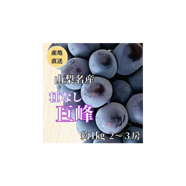 容量■お礼品の内容について・種なし巨峰[2〜3房(約1kg)]原産地:山梨県山梨市■生産者の声果樹栽培が盛んな地元山梨への地域貢献がしたいと考え、長年農業関連事業に携わり、農家さんと関わり合いながらその魅力をどのように伝えていけば良いか考え...