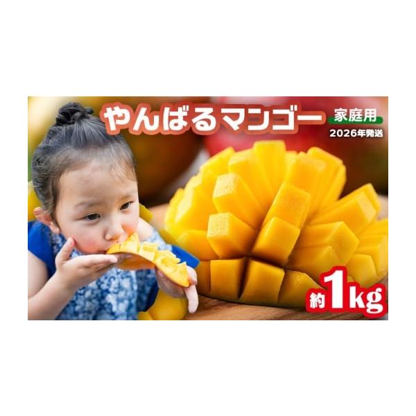 容量家庭用　約１kg（２〜３玉）※玉数は選べません※色づき、大きさにばらつきがあります。消費期限生ものですので、お早めにお召し上がり下さい。発送期日2026年7月上旬〜8月中旬に順次発送配送冷蔵 別送申込期日2026年6月30日まで事業者や...