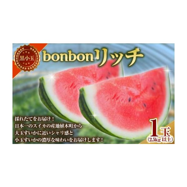 容量1玉（2.5kg以上）消費期限賞味期限：発送日から7日発送期日2026年5月下旬〜6月上旬まで発送予定配送常温 時間指定 別送申込期日2026年5月15日まで寄附受付事業者バトン株式会社申込条件何度も申し込み可