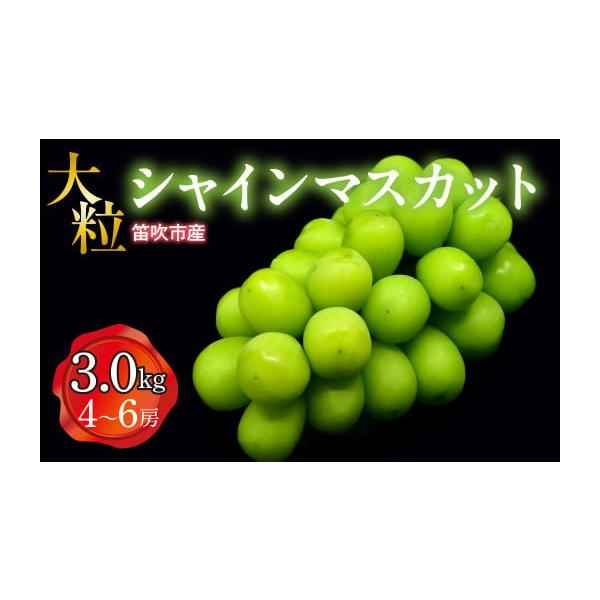 容量シャインマスカット3.0kg以上(4〜6房)消費期限到着後お早めにお召し上がりください発送期日2026年8月下旬〜10月下旬配送常温 時間指定 別送申込期日〜2026年10月31日事業者ハッピーファーム申込条件何度も申し込み可