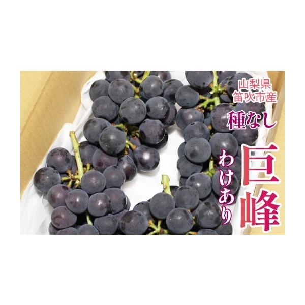 容量巨峰：2kg発送期日8月下旬〜9月下旬 発送予定※沖縄県、離島への配送は出来かねます。配送常温 別送申込期日〜9／10事業者有限会社丸章青果申込条件何度も申し込み可、オンライン決済限定