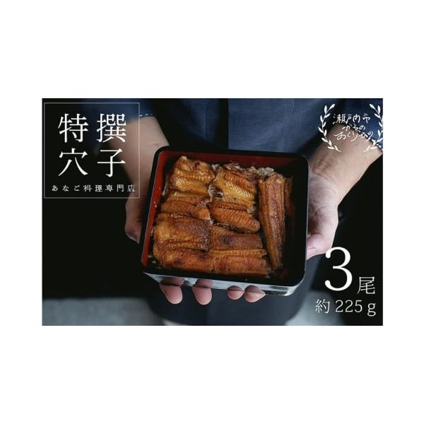 容量特撰焼きあなご 合計約225g 3尾入タレ約60g×2個入消費期限冷蔵7日発送期日配送冷蔵 別送事業者民宿　青島申込条件何度も申し込み可