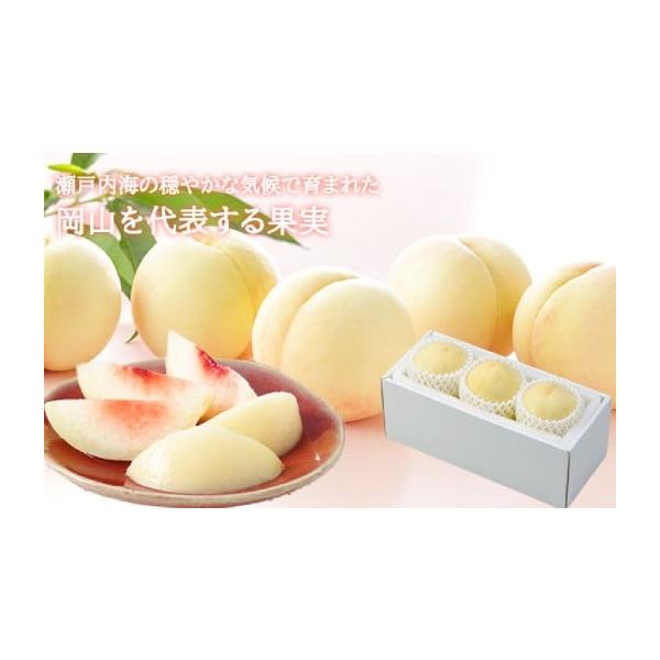 容量約200g×3玉：計約600g※果実の大きさ（玉数）および品種等をご指定いただくことはできません。消費期限賞味期限：発送日から冷蔵4日発送期日2026年7月上旬〜8月下旬まで順次発送予定※天候や収穫状況によりお届け時期が変わることがあり...