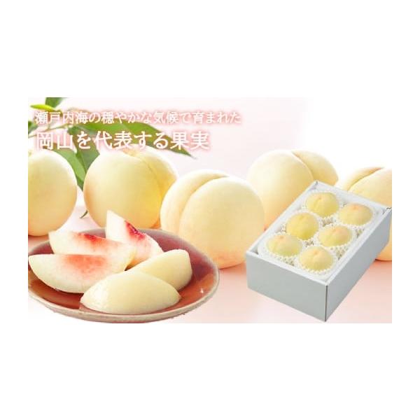 容量4〜6玉：計約1kg※果実の大きさ（玉数）および品種等をご指定いただくことはできません。消費期限賞味期限：発送日から冷蔵4日発送期日2026年7月上旬〜8月下旬まで順次発送予定※天候や収穫状況によりお届け時期が変わることがあります。万が...