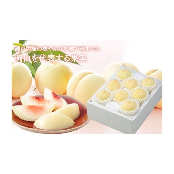 容量4〜8玉：計約1.2kg※果実の大きさ（玉数）および品種等をご指定いただくことはできません。消費期限賞味期限：発送日から冷蔵4日発送期日2026年7月上旬〜8月下旬まで順次発送予定※天候や収穫状況によりお届け時期が変わることがあります。...