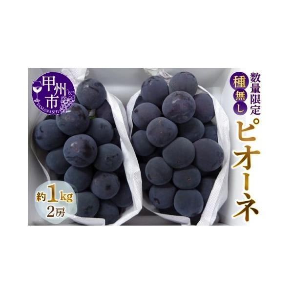 容量種なしピオーネ 約1kg （2房）消費期限到着次第、お早めにお召し上がりください。発送期日2026年8月下旬〜9月下旬頃、順次発送予定※天候や収穫状況により出荷に変動がございます。（※沖縄・離島へのお届けはできかねております）配送冷蔵 ...