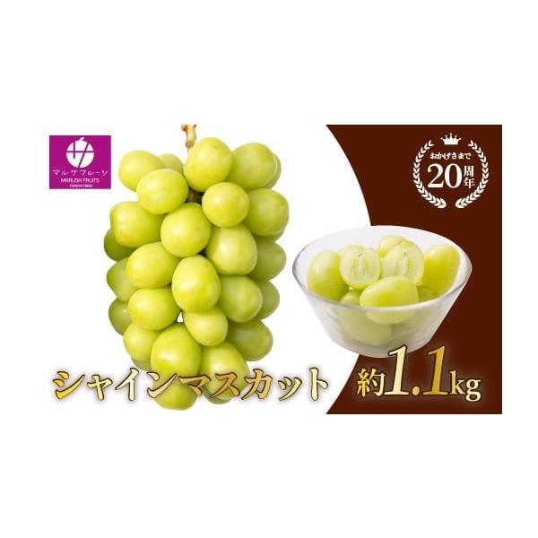 容量シャインマスカット　 約1.1kg　 1-3房入り 消費期限◆保存方法届いたらすぐに状態を確認していただき、冷蔵庫にて保管してください。生鮮品のため、賞味期限は短くなっております。状態をよくご確認のうえお早めにお召し上がりください。糖度...