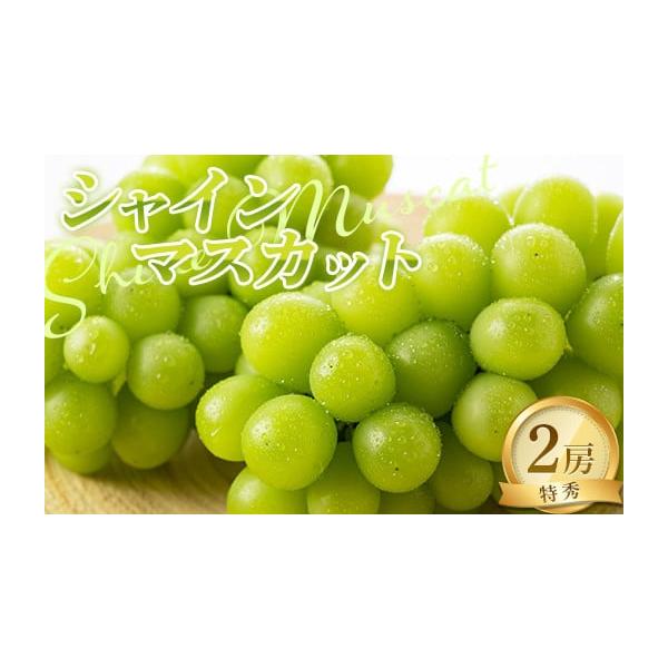容量シャインマスカット等級：特秀容量：2房入り（約1kg以上）消費期限到着次第お早めにお召し上がりください。発送期日令和8年9月上旬から順次発送予定※生育状況により発送時期が前後する場合がございます。※冷蔵便で発送します。配送冷蔵 時間指定...