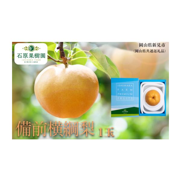 容量備前横綱梨（あたご梨） 1玉（約1〜1.5kg）岡山県内産（5条8号ハ）消費期限賞味期間：出荷日より常温7日（冷暗所で保管してください）発送期日2026年11月中旬〜12月中旬頃に順次発送いたします。（出荷目安：11月15日〜12月20...