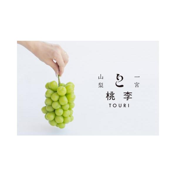 容量シャインマスカット約1.1kg（2~3房）発送期日＜26年発送先行予約＞8月中旬〜10月上旬予定※天候により発送時期が前後しますのでご了承願います。配送冷蔵 時間指定 別送申込期日2026年9月15日まで事業者株式会社桃李申込条件何度も...