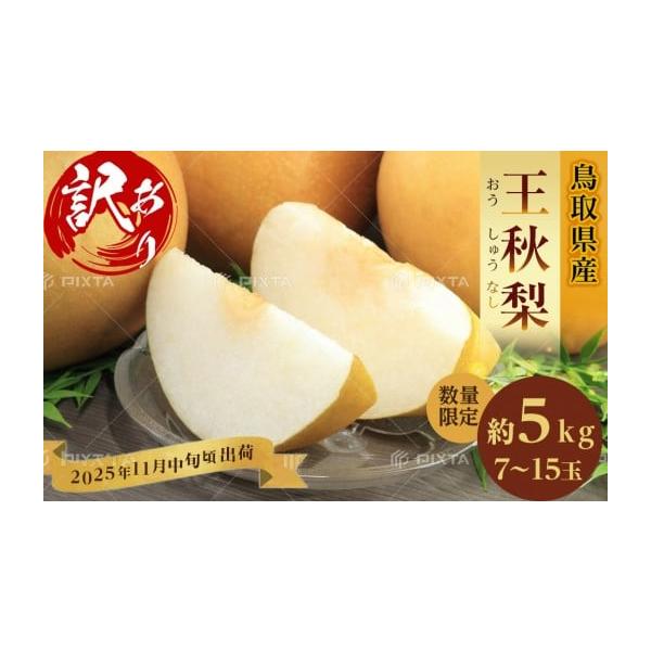 容量鳥取県産”王秋梨” 約5kg （7〜15玉）消費期限賞味期限：できるだけお早めにお召し上がりください。保存方法：高温多湿を避け、直射日光の当たらない場所で保存してください。発送期日11月中旬〜※育成状況により出荷時期が前後する場合がござ...