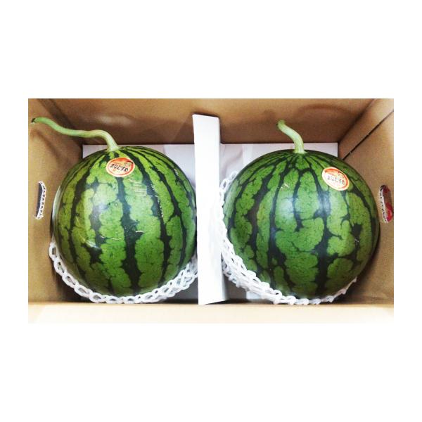 容量1箱2玉入り（1玉1.5kg以上）消費期限賞味期限：到着後1週間発送期日2026年5月下旬〜6月上旬順次発送予定配送常温 時間指定 別送申込期日2026年6月15日まで寄附受付事業者株式会社ＧＧＹパッケージ申込条件何度も申し込み可