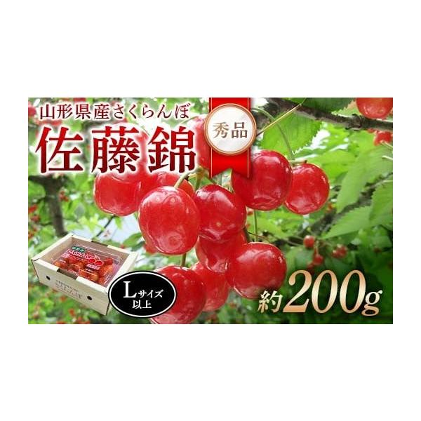 容量山形県産さくらんぼ＜佐藤錦秀品＞約200g×1P Lサイズ以上消費期限製造・加工後 5日以内発送期日2026年6月上旬頃〜6月下旬頃配送冷蔵 時間指定 別送申込期日2025年7月21日〜2026年5月20日まで事業者株式会社山美ファーム...