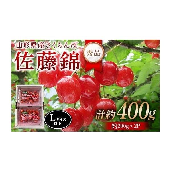 容量山形県産さくらんぼ＜佐藤錦秀品＞約200g×2P Lサイズ以上消費期限製造・加工後 5日以内発送期日2026年6月上旬頃〜6月下旬頃配送冷蔵 時間指定 別送申込期日2025年7月21日〜2026年5月20日まで事業者株式会社山美ファーム...