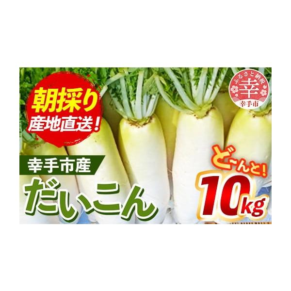 容量幸手市産大根（Ｍ〜３Ｌサイズ）１箱分（約10kg）入数目安（Ｍ：１２本　Ｌ：１０本　２Ｌ：８本　３Ｌ：６本）※収穫量により、サイズ・本数が変動する場合がございます。予めご了承ください。消費期限賞味期限:発送から7日間発送期日4〜5月、1...