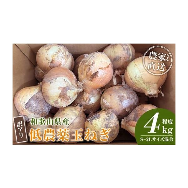 容量玉ねぎSサイズから2Lサイズ混合品。 4kg程度※収穫中に皮が剥けて傷がついたものや、レモンのような細長く小さい形や規格外の大きなもの等。※発送時期により内容が異なります。種類はお選びいただけません。消費期限新玉ねぎ（4月中旬〜5月下旬...