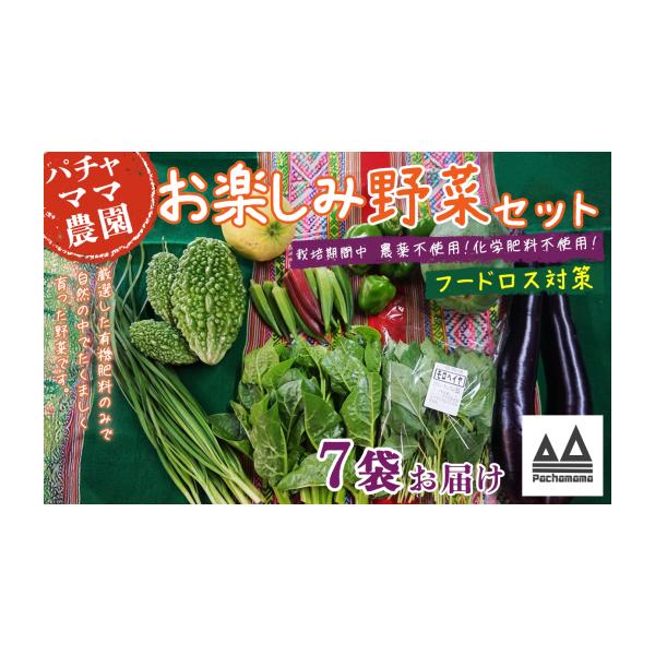容量フードロス対策 お楽しみ野菜セット（7袋）※内容はおまかせになります。発送期日ご入金確認後、順次発送予定※伊豆諸島（大島・八丈島を除く）及び小笠原村（小笠原諸島）への発送は出来ません。※お申込み時に「到着日のご指定」・「曜日指定」はお受...