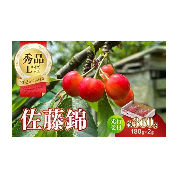 容量さくらんぼ 佐藤錦 約360g（180g×2P）　秀品以上　Ｌサイズ以上※天候の条件により品種が「紅秀峰」へ変更になる場合がございます消費期限出荷日から4日間発送期日2026年6月より順次発送予定下記の内容をご確認・ご了承のうえ、お申込...