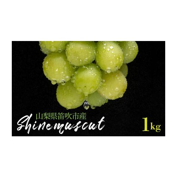 容量シャインマスカット　2房　1kg消費期限7日程度発送期日2026年9月中旬〜10月下旬配送常温 時間指定 別送申込期日2026年9月30日事業者株式会社サンコー申込条件何度も申し込み可、オンライン決済限定