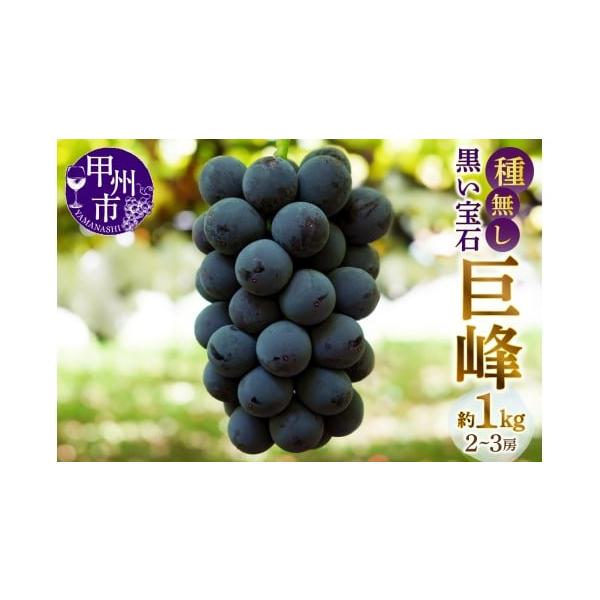 容量甲州市産種無し巨峰 約1kg（2房〜3房）消費期限到着次第、お早めにお召し上がりください。発送期日2026年8月上旬〜9月下旬頃、順次発送予定※天候や収穫状況により出荷に変動がございます。（※沖縄・離島へのお届けはできかねております）配...