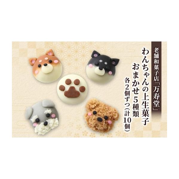 容量【わんちゃんの上生菓子】赤柴、黒柴、シュナウザー、プードル、肉球の5種を各2個消費期限冷凍14日、解凍後冷蔵保存3日発送期日配送冷凍 別送事業者万寿堂申込条件何度も申し込み可
