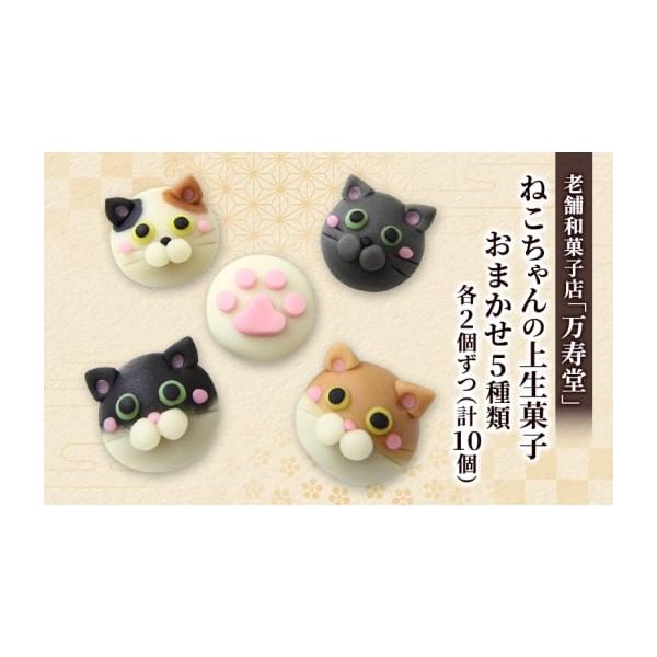 容量【ねこちゃんの上生菓子】黒猫、茶猫、三毛猫、ロシアンブルー、肉球の5種を各2個消費期限冷凍14日、解凍後冷蔵保存3日発送期日配送冷凍 別送事業者万寿堂申込条件何度も申し込み可