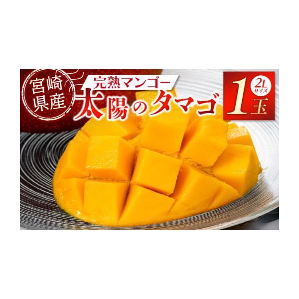 容量太陽のタマゴ 2L×1玉消費期限発送日より5日※青果物のため、到着後はお早めにお召し上がりください。発送期日2026年5月中旬〜7月下旬に順次発送予定※一部離島にはクール便でのお届けが出来ませんのでご注意ください。配送冷蔵 時間指定 別...