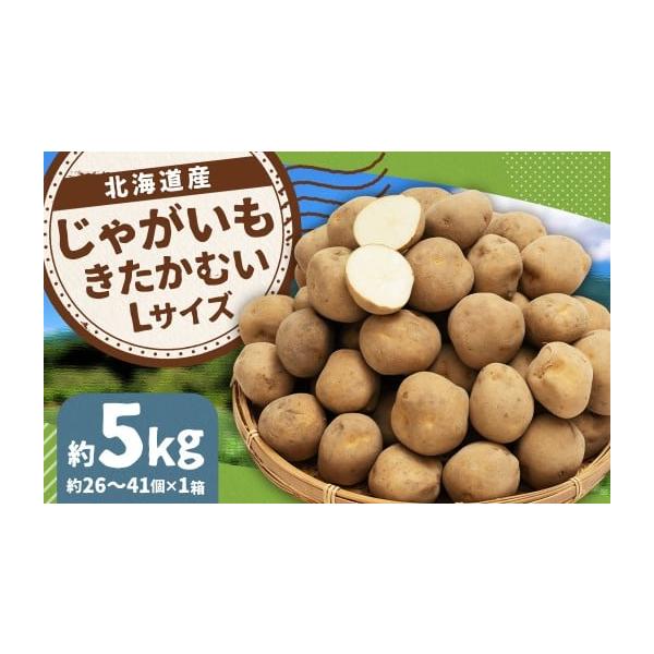 容量約5kg（約26〜41個）×1箱消費期限【賞味期限】発送日から30日発送期日2026年1月上旬〜2月下旬迄発送予定配送常温 時間指定 別送申込期日2026年1月22日まで寄附受付事業者株式会社Aコープようてい申込条件何度も申し込み可