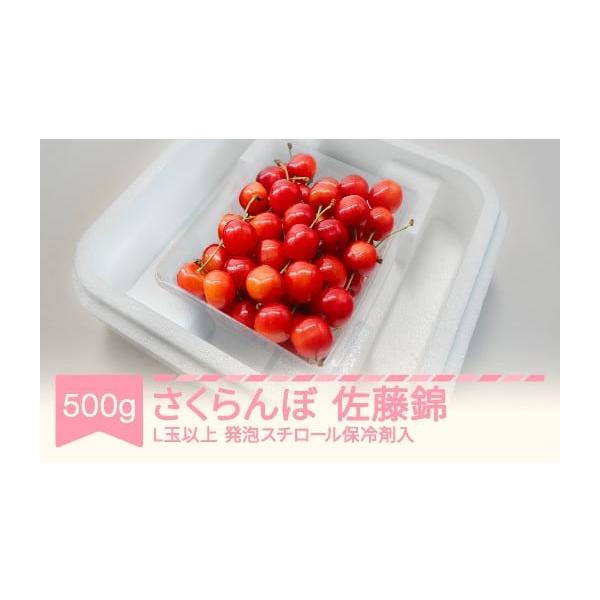 容量500g消費期限出荷日より3日発送期日6月中旬~6月下旬  ※生育の状況により多少前後することがあります配送常温 時間指定 別送申込期日2026年4月30日事業者森谷農園申込条件何度も申し込み可