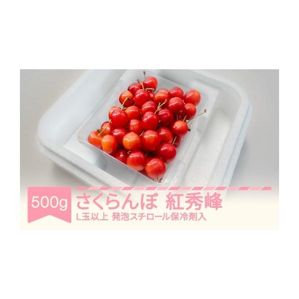 容量500g消費期限出荷日より3日発送期日6月下旬~7月上旬 ※生育の状況により多少前後することがあります配送常温 時間指定 別送事業者森谷農園申込条件何度も申し込み可