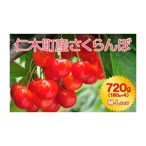 容量北海道仁木町産さくらんぼ720g（180g×4） サイズ：Ｍ・Ｌサイズ産地：仁木町※賞味期間：発送から3日程度※ふるさと納税返礼品地場産品基準(平成31年総務省告示第179号第5条)のうち該当する類型について仁木町内において生産されたも...