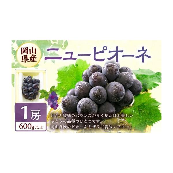 容量1房 600g以上消費期限【賞味期限】発送日から冷蔵4日※青果物のためお早めにお召し上がりください。発送期日2026年8月下旬〜2026年9月下旬まで順次発送予定配送冷蔵 時間指定 別送申込期日〜2026年7月20日事業者環山堂株式会社...