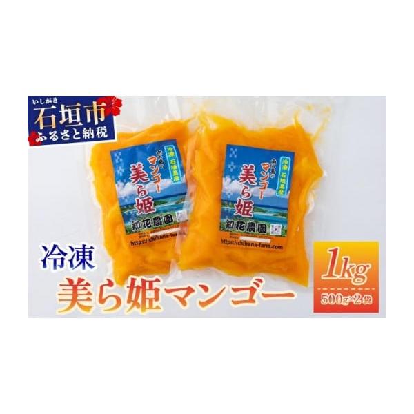 容量冷凍美ら姫マンゴー 1kg (500g×2袋)消費期限賞味期限：1年発送期日ご入金確認後、1か月前後で発送いたします配送冷凍 別送事業者知花農園申込条件何度も申し込み可