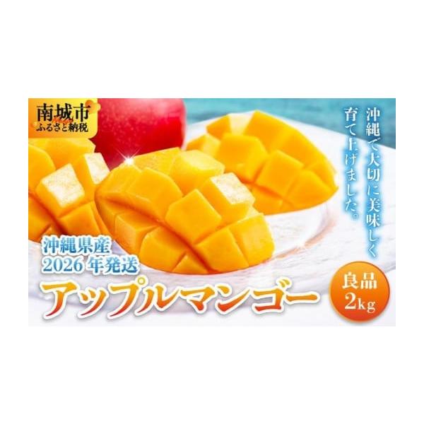 容量アップルマンゴー　良品（2kg）消費期限商品到着後早めにお召し上がりください。発送期日2026年7月初旬から2026年8月中旬ごろお届け配送冷蔵 別送事業者光陽マンゴー園申込条件何度も申し込み可