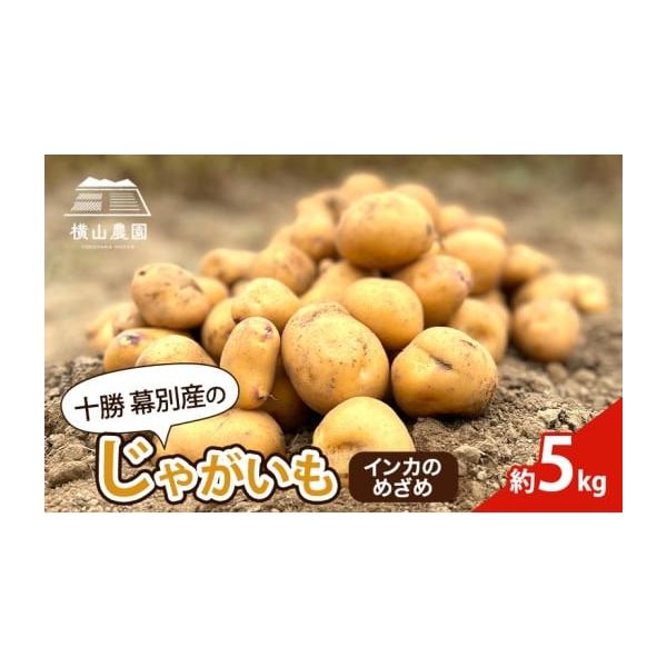 容量じゃがいも インカのめざめ（サイズ混合） 約5kg発送期日2026年10月上旬〜2026年11月下旬まで配送冷蔵 別送申込期日2026年11月8日まで事業者株式会社横山農園申込条件何度も申し込み可