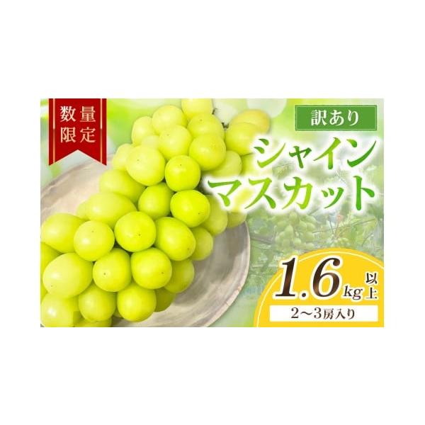 容量1.6kg以上（2〜3房入り）消費期限【賞味期限】発送から5日到着後、お早めにお召し上がりください【保存方法】冷蔵保存発送期日【配送可能期間】2026年9月上旬〜10月上旬配送可能期間より順次発送【配送不可地域】沖縄、一部離島配送冷蔵 ...
