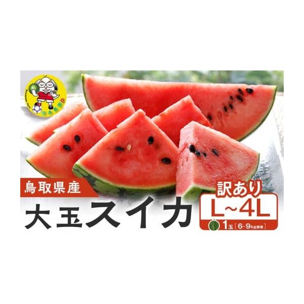 容量鳥取県産 大玉スイカ 訳あり 1玉 6-9キロ前後L-4L消費期限生鮮食品ですのでお早めにお召し上がりください【保存方法】風通しの良い涼しい場所又は冷蔵庫で保管ください発送期日2026／06／01(6月上旬)〜2026／08／10(8月...
