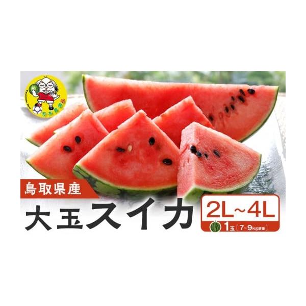 容量鳥取北栄町産（旧大栄町）スイカ1玉 7-9キロ前後2L-4Lサイズ消費期限生鮮食品ですのでお早めにお召し上がりください【保存方法】風通しの良い涼しい場所又は冷蔵庫で保管ください発送期日2026／06／01(6月上旬)〜2026／08／1...