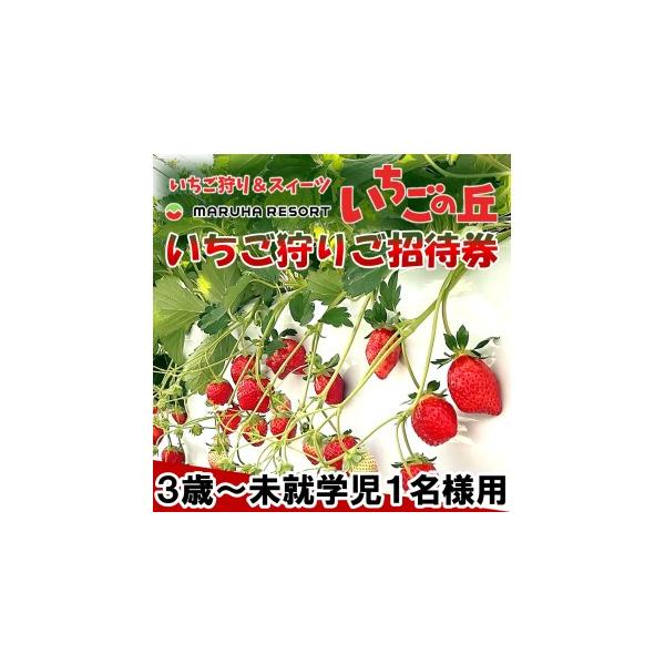 容量まるは食堂 マルハリゾート いちごの丘で、いちご狩りを体験できる、3歳〜未就学児1名様用ご招待券。◎本券1枚で、3歳〜未就学児1名様、ご利用いただけます。■お礼品の内容について・いちごの丘『いちご狩り』3歳〜未就学児用ご招待券(1名様用...