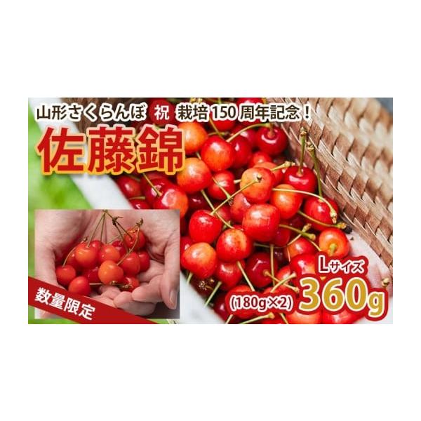 容量【令和8年産】さくらんぼ(佐藤錦) Lサイズ 360g（180g×2パック）消費期限到着後3日発送期日2026年06月05日頃〜2026年07月05日頃※状況により配送時期が前後する場合がございます。(着日指定不可)配送冷蔵 時間指定 ...
