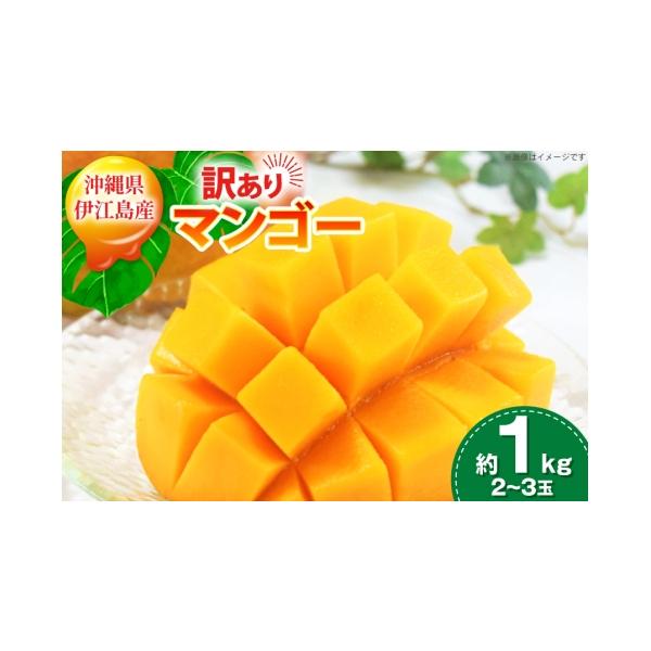 容量訳あり マンゴー アーウィン種 2〜3玉／約1kg■原産地：沖縄県伊江村消費期限果物で賞味期限が短いため商品到着後は冷蔵庫で冷やし、お早めに召し上がりください。発送期日2026年7月初旬〜2026年8月初旬において順次発送※申込期日：2...