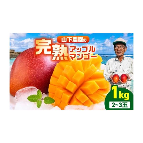 容量完熟アップルマンゴー 1kg（2〜3玉）【原材料名】マンゴー【原材料産地】沖永良部島消費期限到着後7日間 ※お早めにお召し上がりください。発送期日2026年7月中旬より順次配送いたします。配送冷蔵 時間指定 別送申込期日2026年7月1...