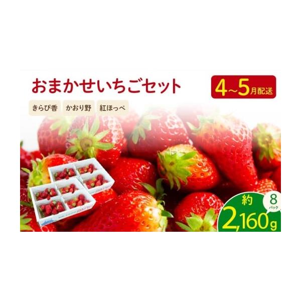 容量苺 270g×8P ※品種指定はできません。ご了承ください。 ※3種の中から厳選してお届けをいたします。※全て同じ品種になる可能性があります。※万が一不備があった場合には破棄せず、現状が分かる提供写真と共にお問い合わせフォームよりご連絡...