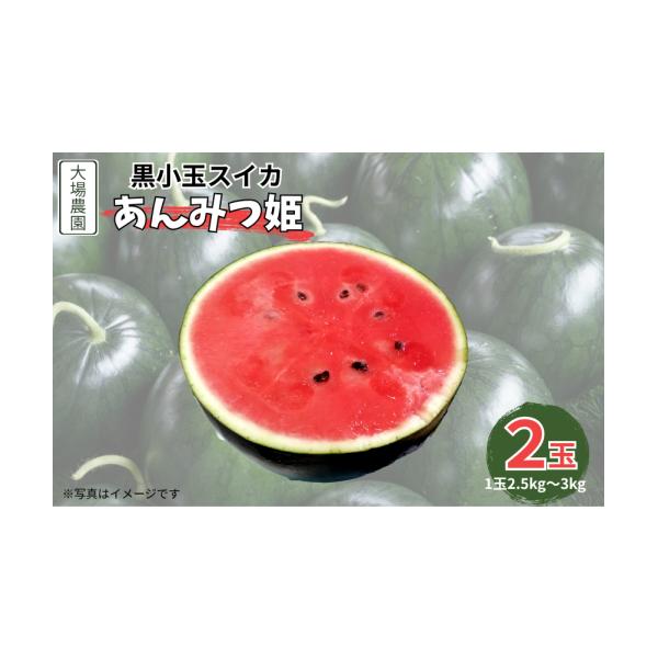 容量小玉スイカ1玉（2.5kg〜3kg×2玉）消費期限出荷日から常温で1週間発送期日寄附納入確認後、1か月以内に発送します。※生産の都合で前後する場合があります。配送常温 時間指定 別送申込期日2025年9月25日〜2026年6月6日まで申...