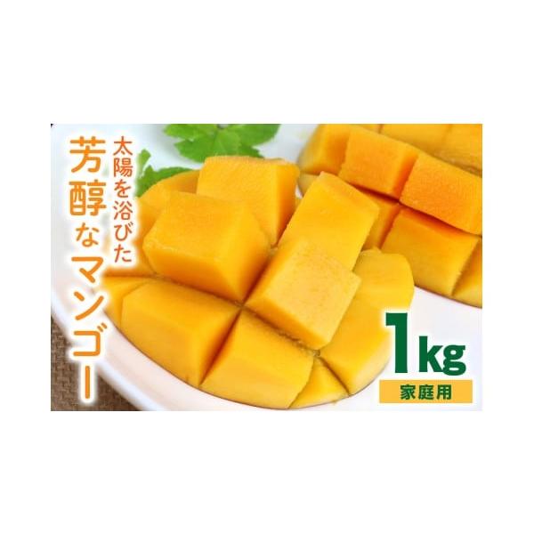 容量アップルマンゴー　1kg（2玉〜3玉） ご家庭用 ※玉数の指定はできません。消費期限青果物につき、到着後はお早めにお召し上がり下さい。発送期日2026年6月下旬〜7月下旬頃予定配送冷蔵 別送事業者丸波有機マンゴー申込条件何度も申し込み可