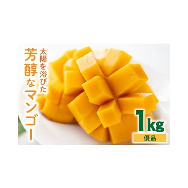 容量アップルマンゴー　1kg（2玉〜3玉） 優品／贈答用 ※玉数の指定はできません。消費期限青果物につき、到着後はお早めにお召し上がり下さい。発送期日2026年6月下旬〜7月下旬頃予定配送冷蔵 別送事業者丸波有機マンゴー申込条件何度も申し込み可