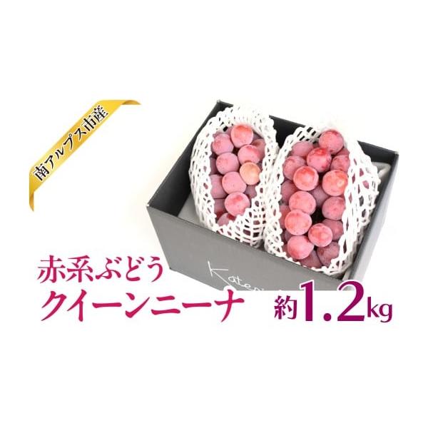 容量1.2kg相当（2-3房）消費期限3日発送期日2026年9月上旬〜9月中旬配送冷蔵 別送申込期日〜2026年9月上旬まで事業者南脈風花申込条件何度も申し込み可