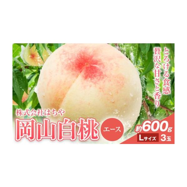 容量約600g 3玉 (Lサイズ)消費期限お早めにお召し上がりください。発送期日2026年7月上旬‐8月下旬頃出荷配送冷蔵 時間指定 別送申込期日6月末頃まで(予定数量に達し次第終了)事業者株式会社はちや申込条件何度も申し込み可