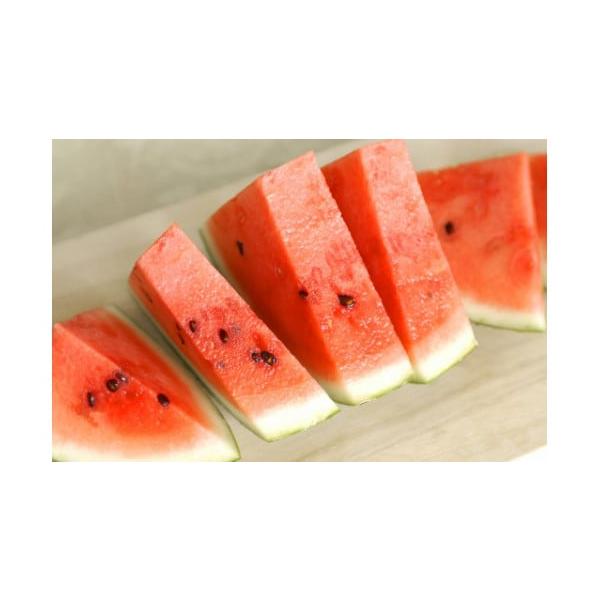 容量2玉(合計4〜5kg)消費期限【賞味期限】出荷から7日発送期日寄附確認後、2026年4月下旬〜5月下旬迄順次発送予定配送常温 時間指定 別送申込期日〜2026年5月10日まで寄附申込受付事業者株式会社吉次園申込条件何度も申し込み可