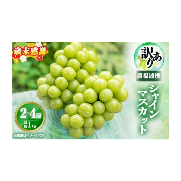 容量■お礼品の内容について・訳ありシャインマスカット[2〜4房(計1kg程度)]原産地:山梨県山梨市■注意事項／その他※生鮮物ですので期限は目安となります。状態をよくご確認の上、お早めにお召し上がりください。※収穫状況により、発送予定から前...